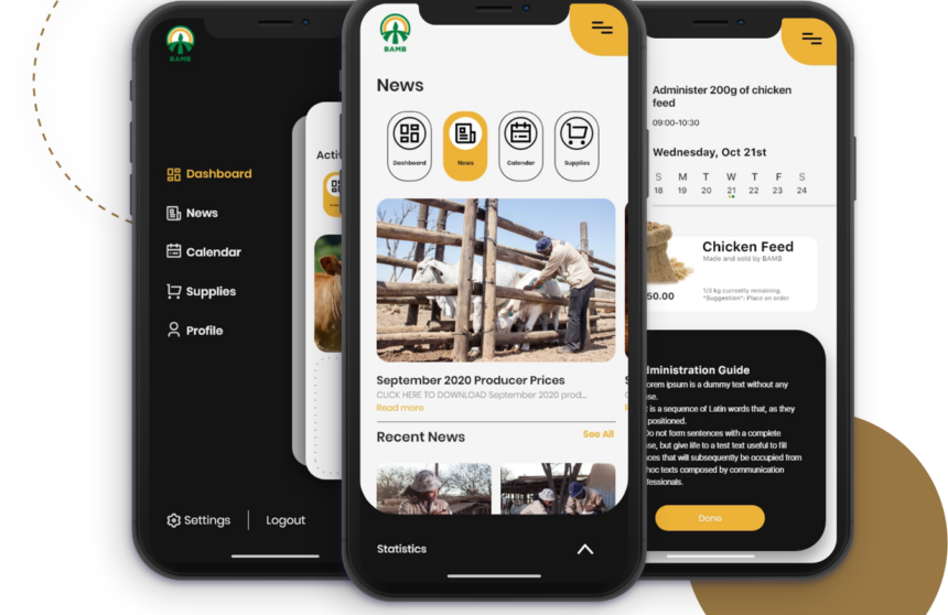 Botswana Agricultural Marketing Board (BAMB) - Xavier Africa